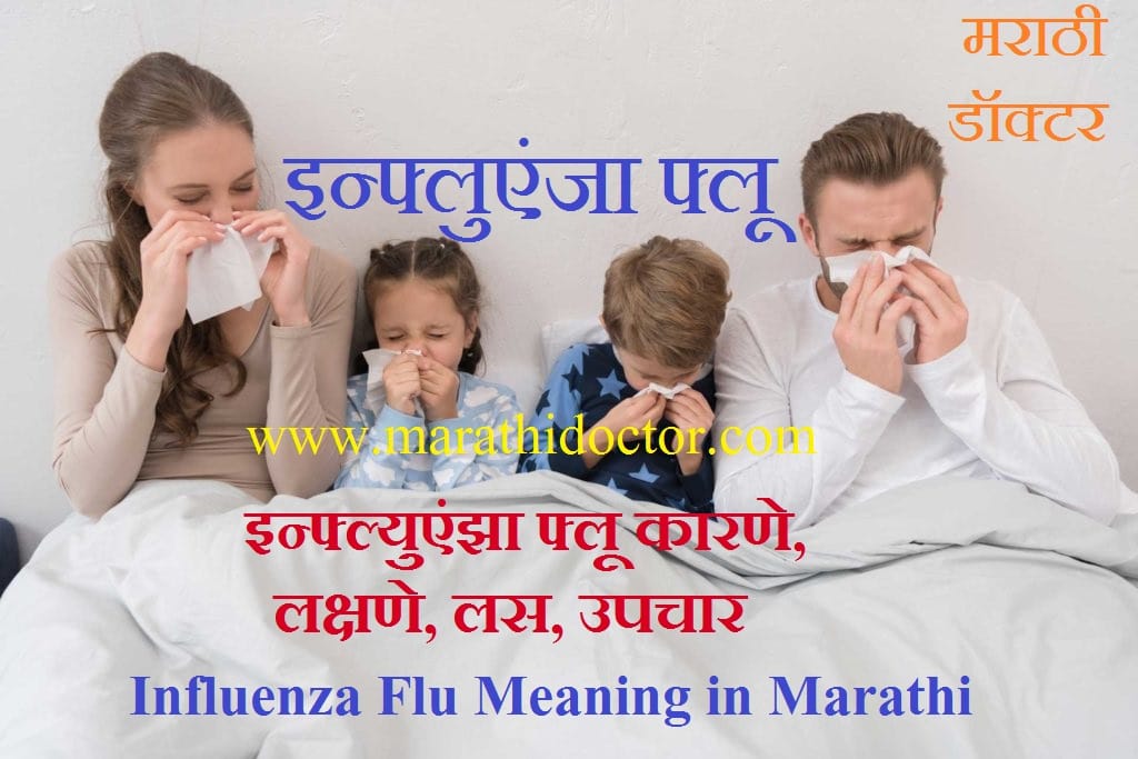 Influenza Flu Meaning In Marathi Influenza Flu Meaning In Marathi